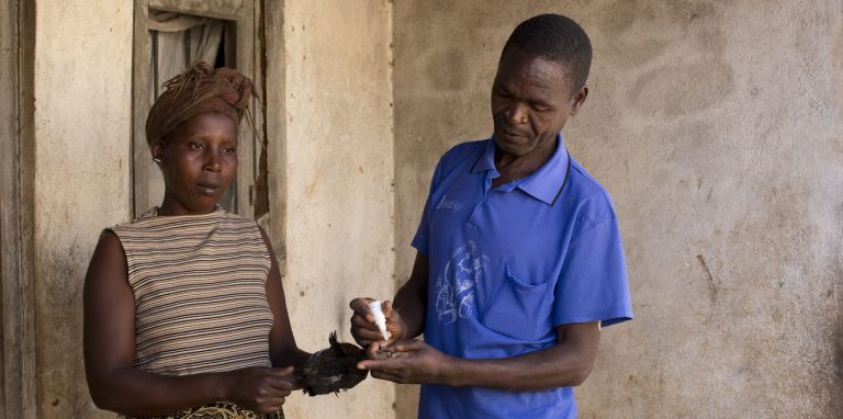 Kyeema022 cropped - Kyeema Foundation