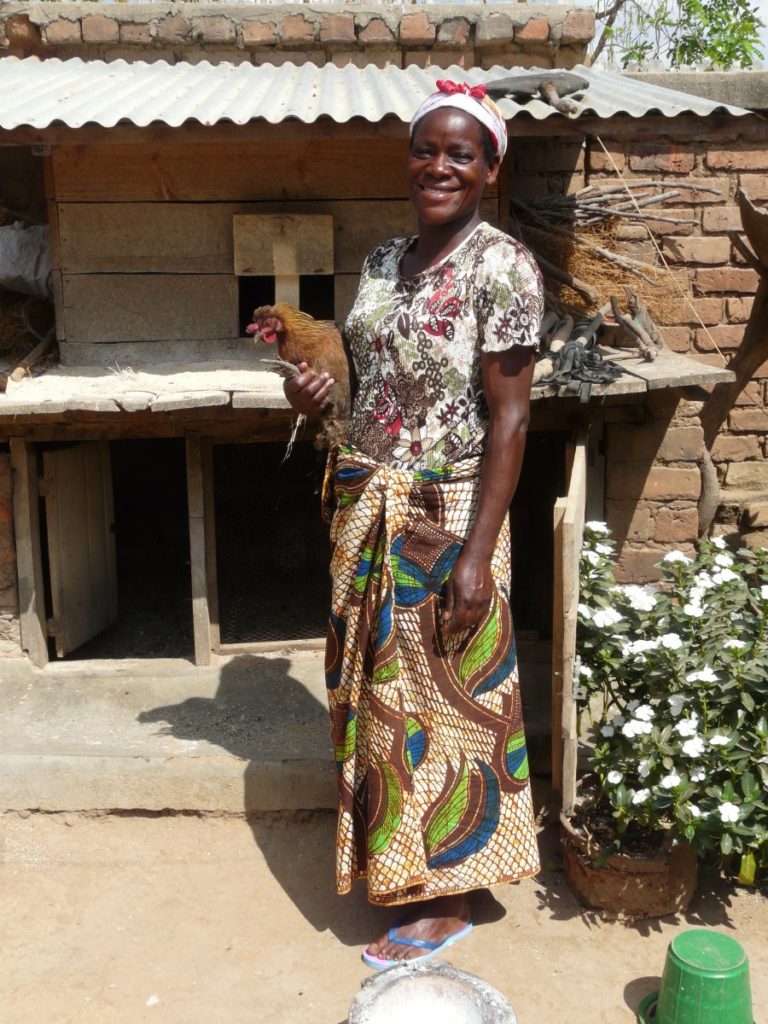 Improving rural livelihoods in Malawi through village chickens - Kyeema ...
