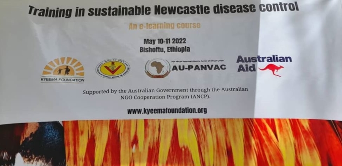 AAU banner - Kyeema Foundation