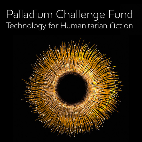 Announcing the 2023 Palladium Challenge Fund Winners